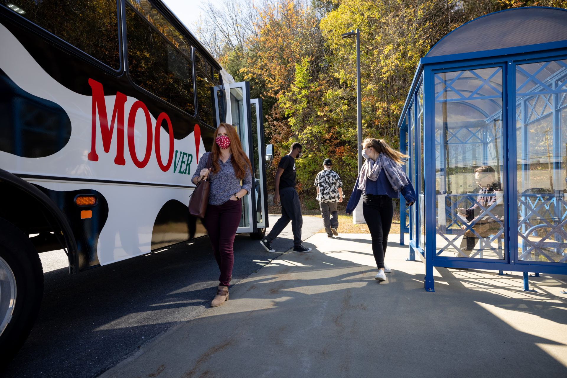 Homepage - The Moover