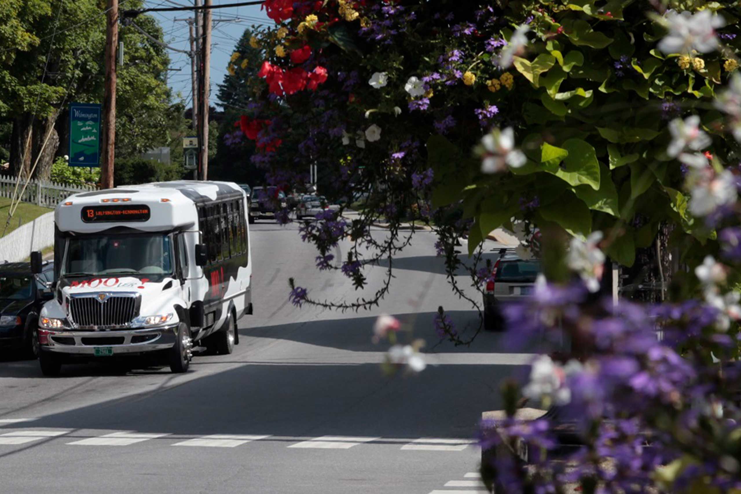 Bids & RFPs - The Moover