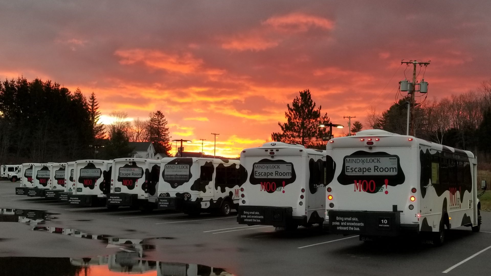 Homepage - The Moover