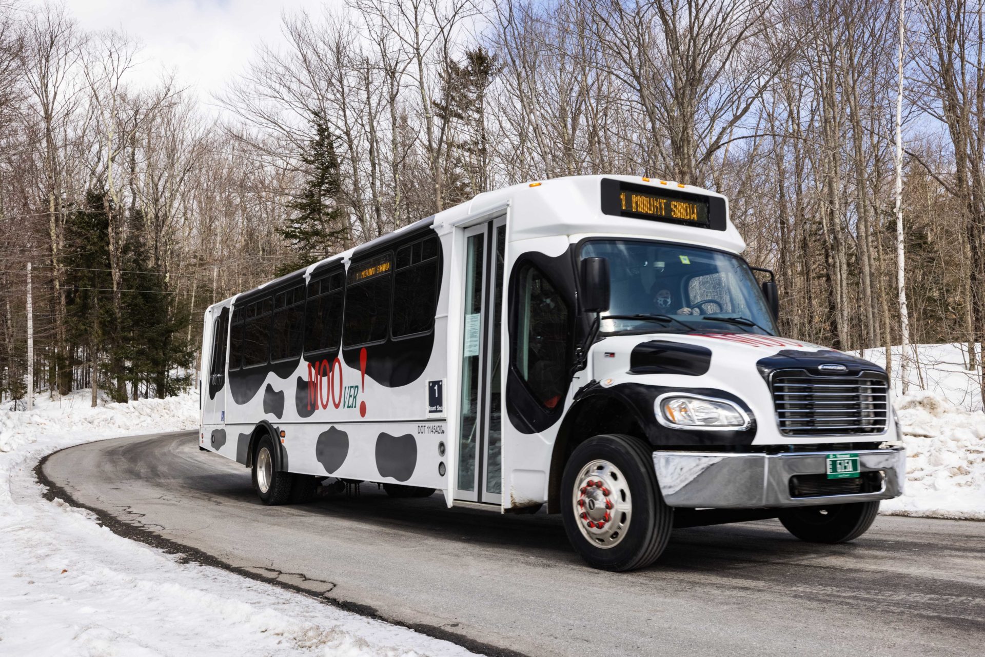 Homepage - The Moover